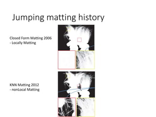 Image matting atoc | PPT
