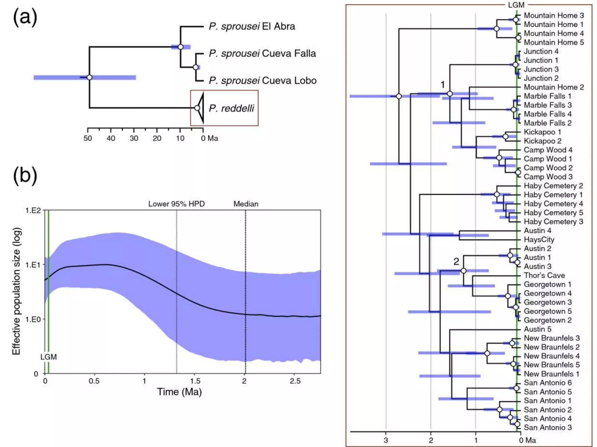 Mining Scientific Diagrams for facts | PPT