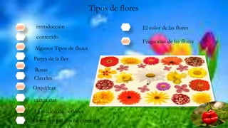 flores | PPTX