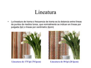 Imagen Color Offset | PPT