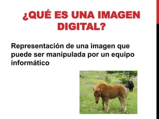 Imagen digital | PPTX