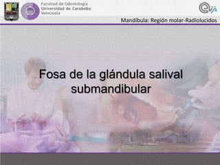 Imagenes radiograficas mandibula | PPTX