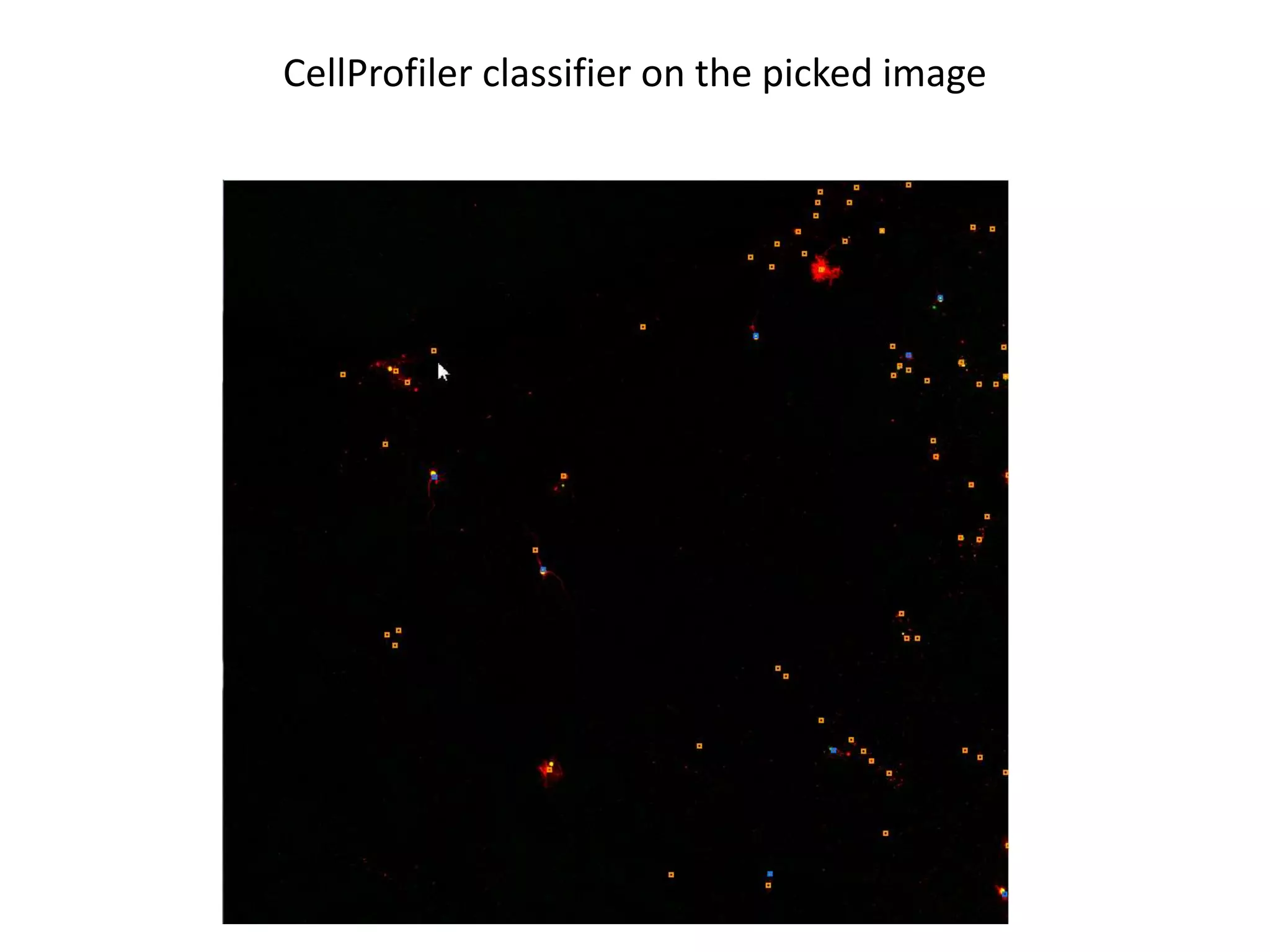 Neuron Detection And Counting In High Throughput Screening Images Ppt
