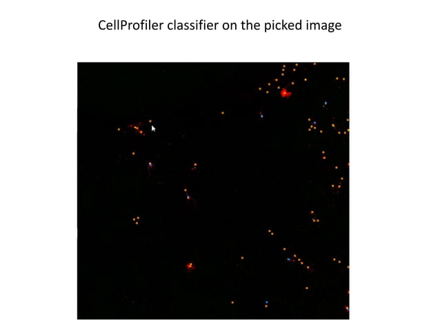 Neuron Detection And Counting In High Throughput Screening Images Ppt