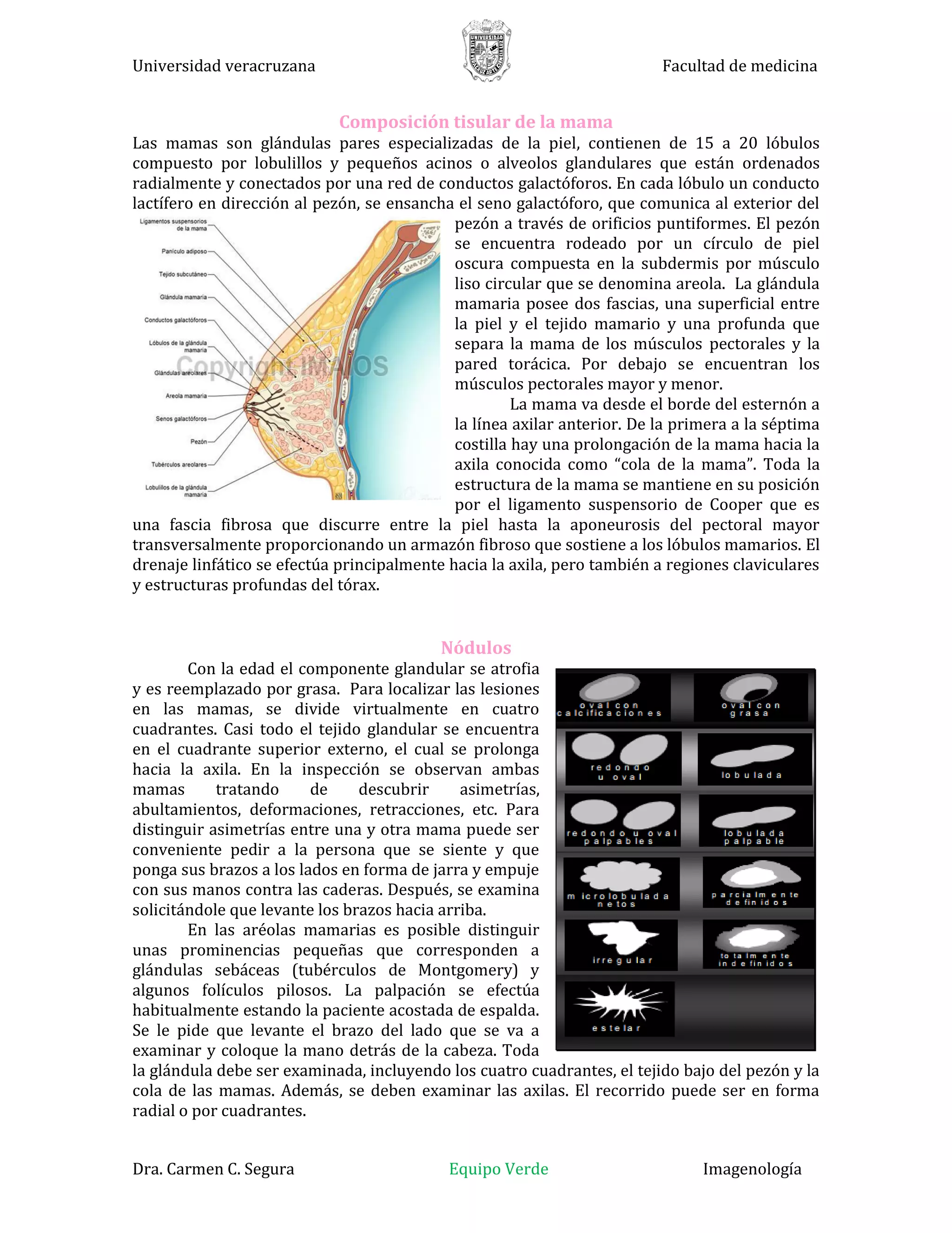 Imagenología de mama | PDF | Cancer | Diseases and Conditions