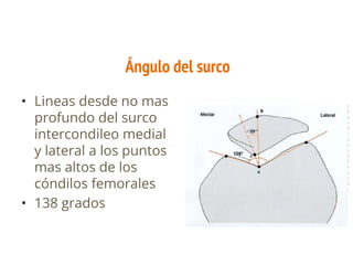 Imagenologia de rodilla_.pptx