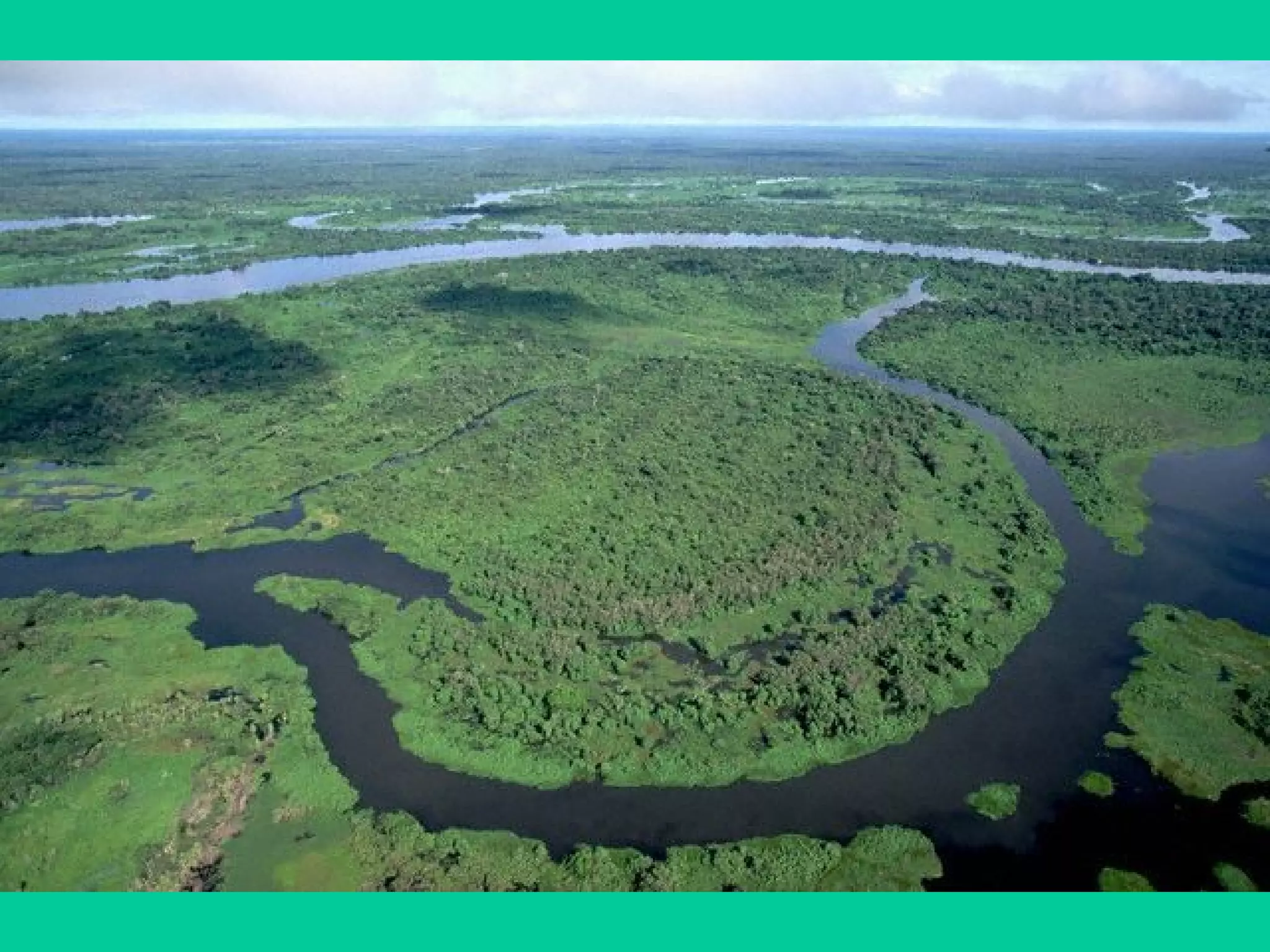 Imagens Pantanal | PPS