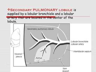 Imaging: Endobronchial TB | PPT