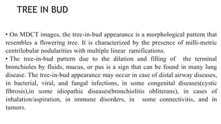 IMAGE OF THE WEEK...pptx | Lung and Respiratory Health | Diseases and ...