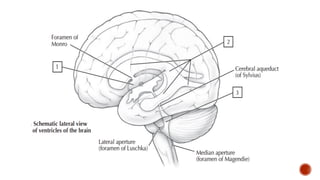 COLLOID CYST OF BRAIN / CNS SPACE OCCUPYING LESIONS - BENIGN