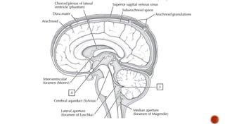 COLLOID CYST OF BRAIN / CNS SPACE OCCUPYING LESIONS - BENIGN