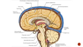 COLLOID CYST OF BRAIN / CNS SPACE OCCUPYING LESIONS - BENIGN
