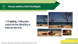 Image Principles.pptx