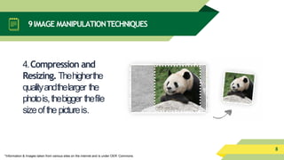 Image Principles.pptx