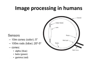 Image Processing | PPTX | Photo Editing Software | Computer Software ...