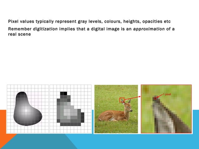 Digital Image Processing | PPT | Photo Editing Software | Computer Software and Applications
