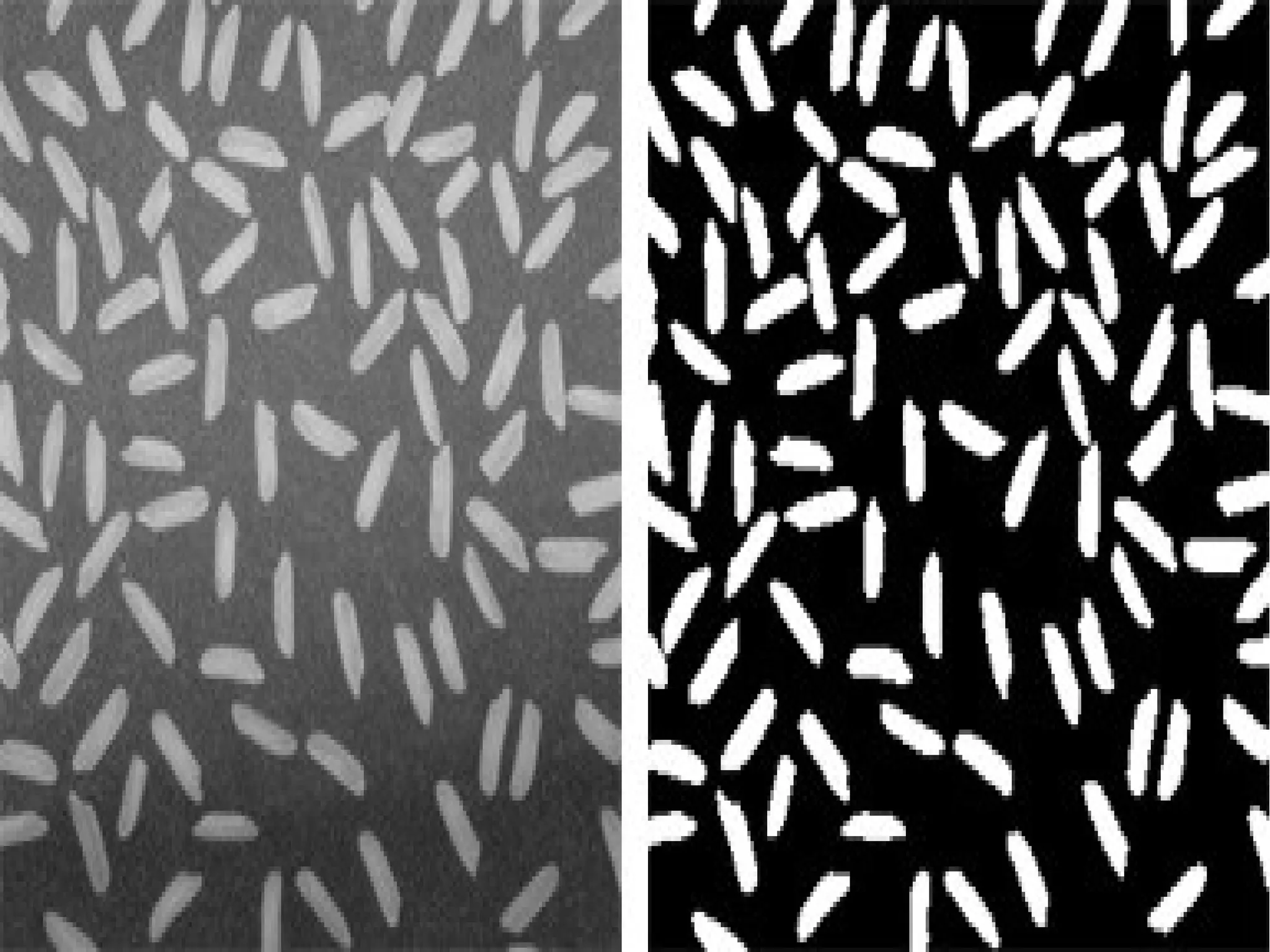 Digital Image Processing | PPT