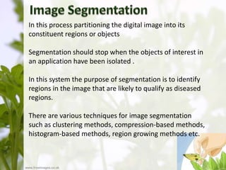 Imageprocessing | PPTX | Gardening | Home & Garden