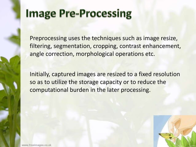 Imageprocessing | PPTX | Gardening | Home & Garden