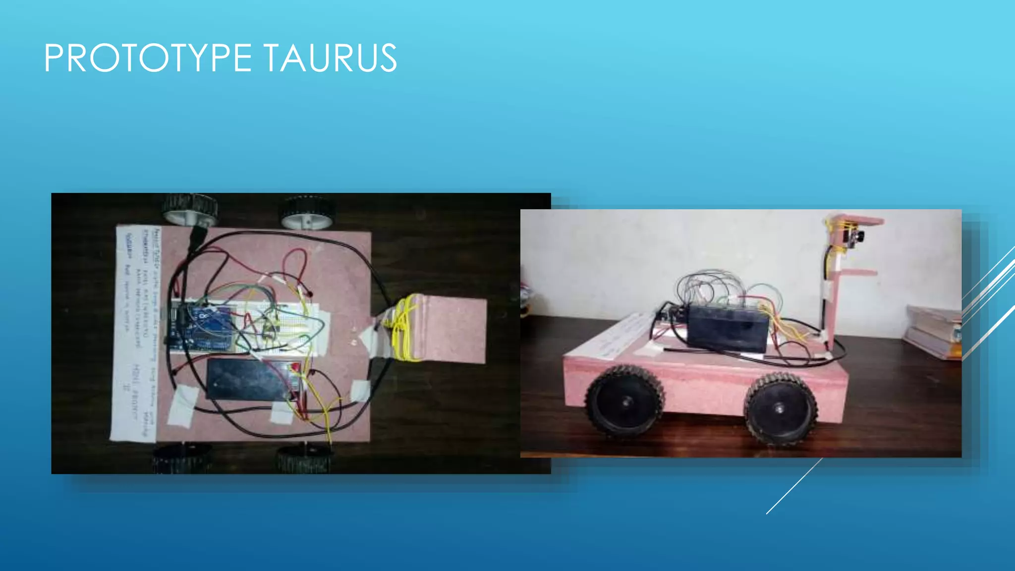 Image Processing TARUS: a FARMBOT | PPTX