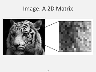 Digital Image Processing | PPT