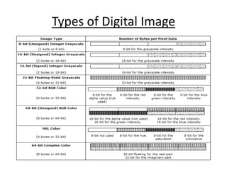 Image processing.pdf