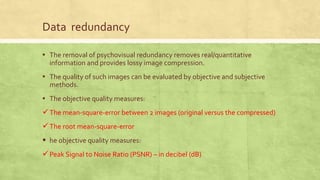 An Introduction to digital image processing | PPTX