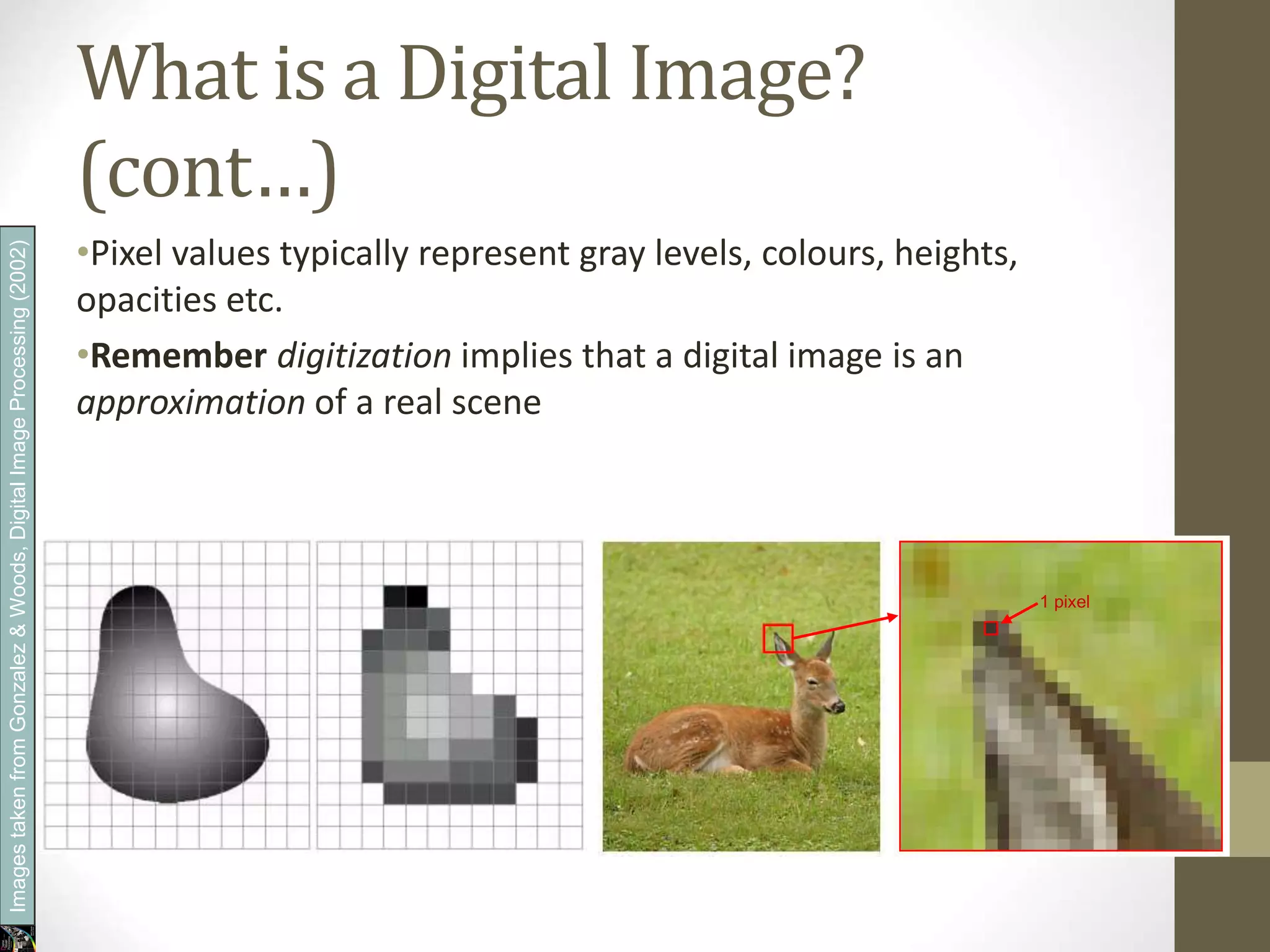 Image processing1 introduction | PPT