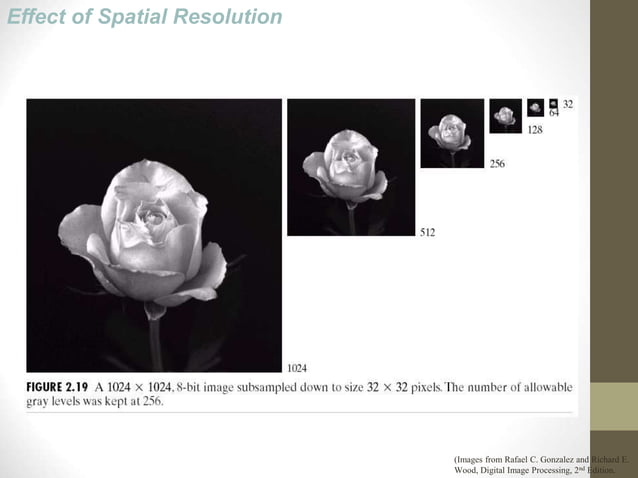 Image processing1 introduction | PPT
