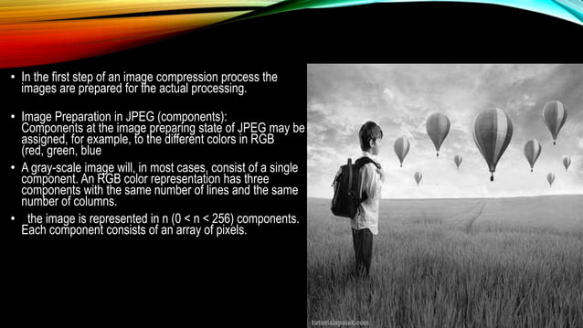 Image processing and compression.pptx | Photo Editing Software | Computer Software and Applications