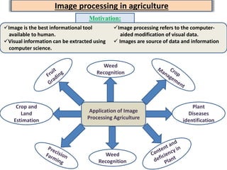 Image processing in agriculture.pptx