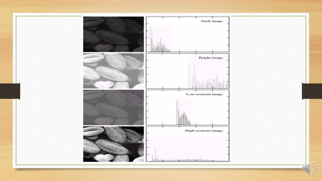 Image processing lab4.pdf image processing | PDF