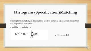 Image processing lab4.pdf image processing | PPT