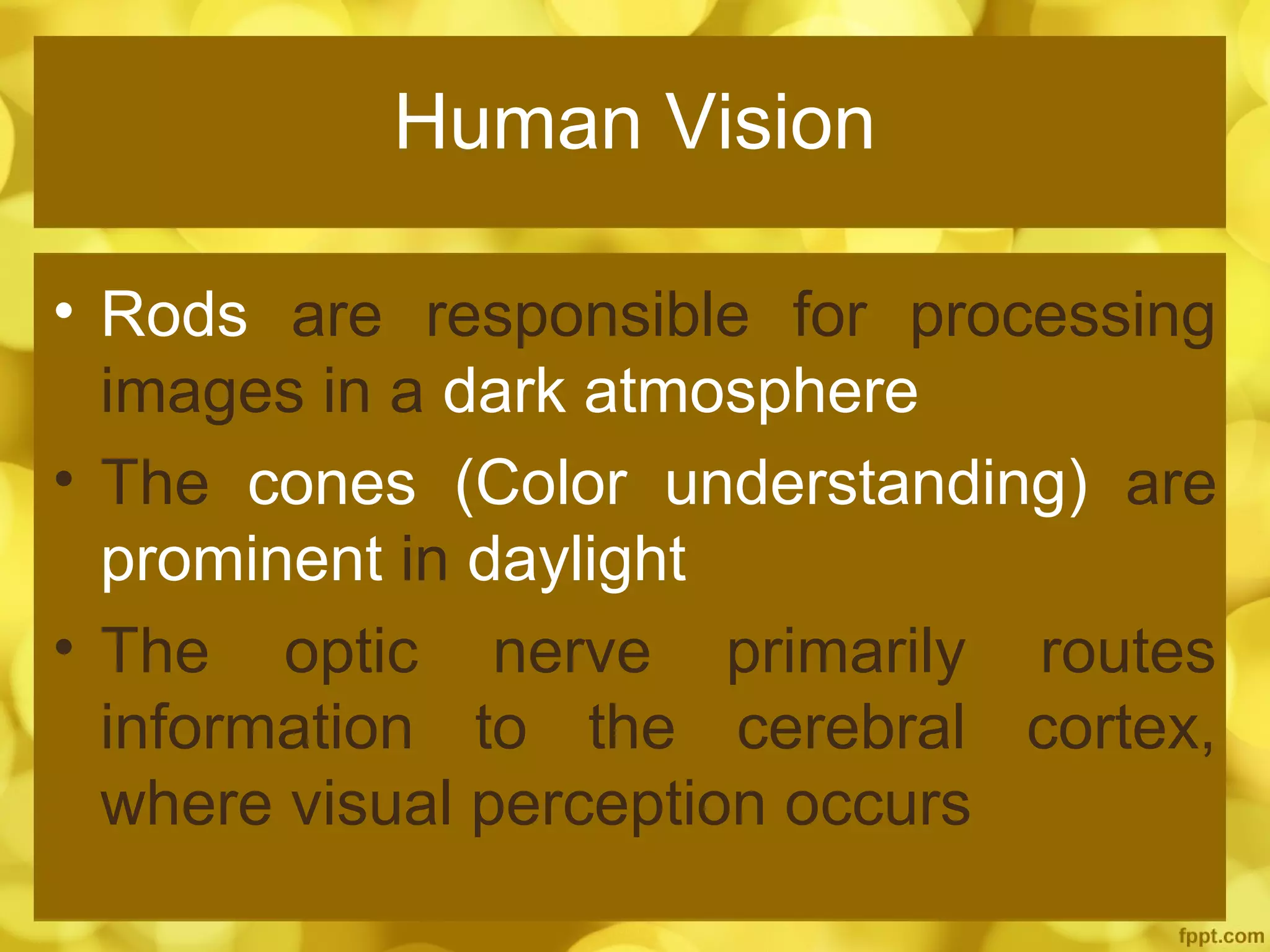 Image processing presentataion | PPT