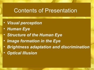 Image processing presentataion | PPT