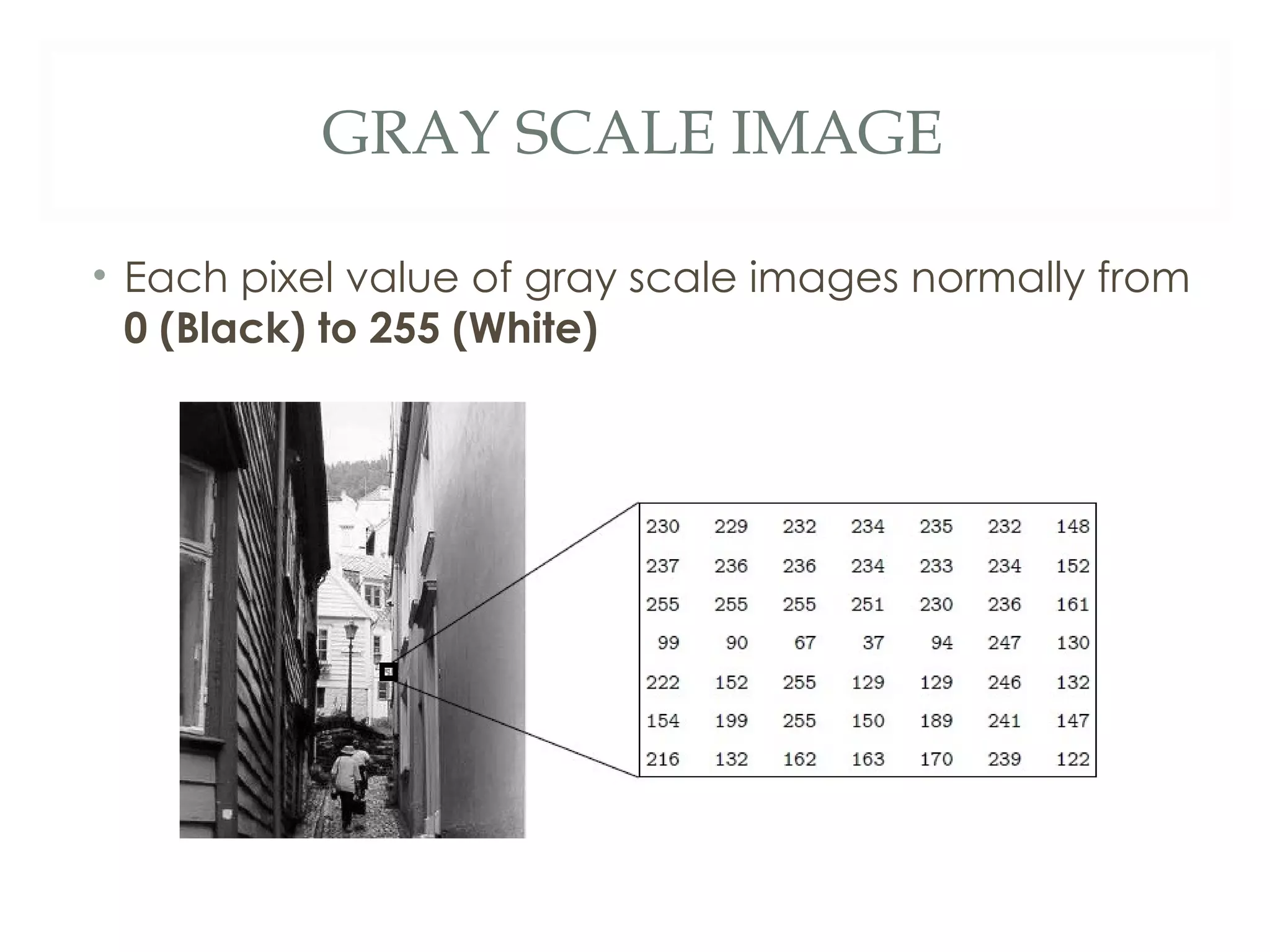 Image processing SaltPepper Noise | PPT