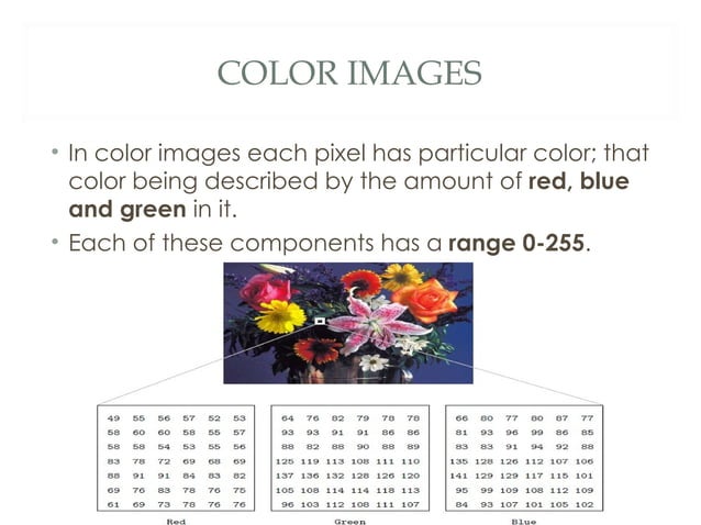 Image processing SaltPepper Noise | PPT | Cameras and Camcorders ...