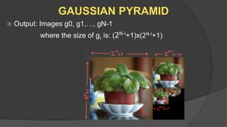 Image pyramid | PPTX