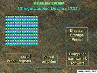 Image receptors & accessories | PPT | Dental Health | Diseases and ...