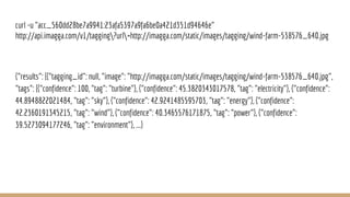 Image recognition | PPT