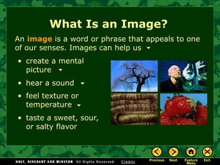 Grade 11 Creative Tech Lesson on Imagery.ppt