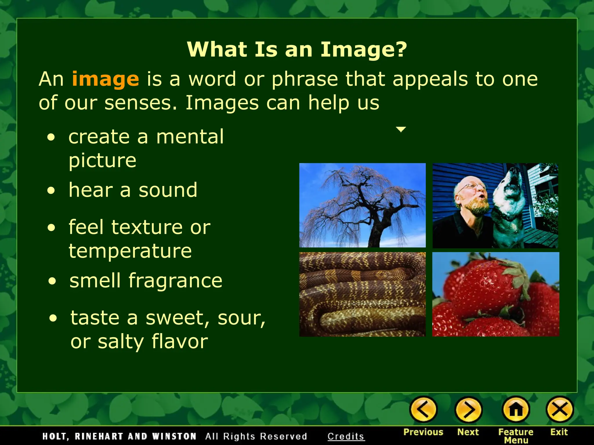 Sensory Imagery powerpoint presentation.ppt