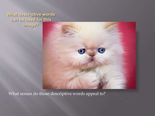 Literary Device: Types and examples of Imagery | PPTX | Perfume and ...