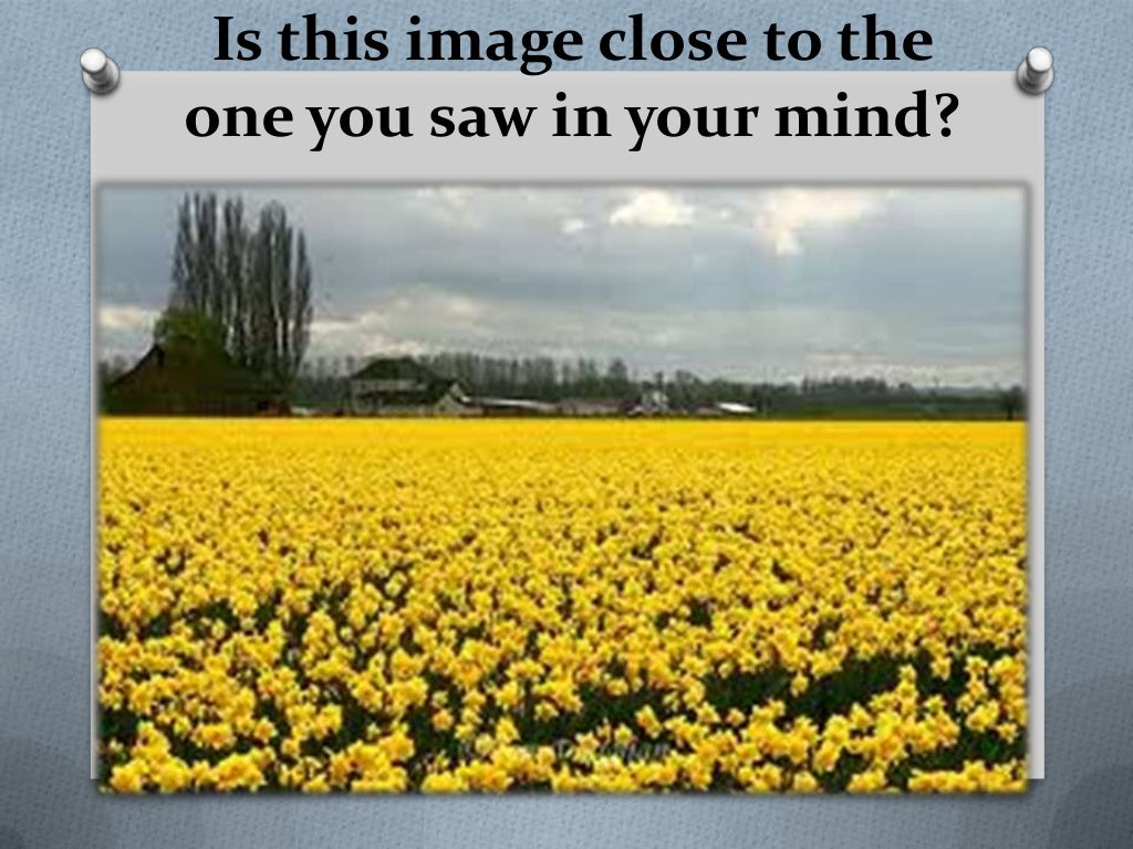 Imagery And Meaning imagery-and-meaning