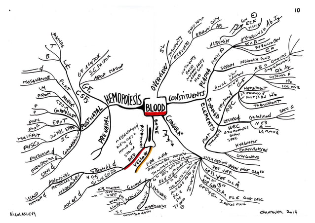 Mind maps cell biology and histology gartner 2014 | PDF