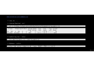 Command Line으로 분석하는 사용자 패턴 | PDF