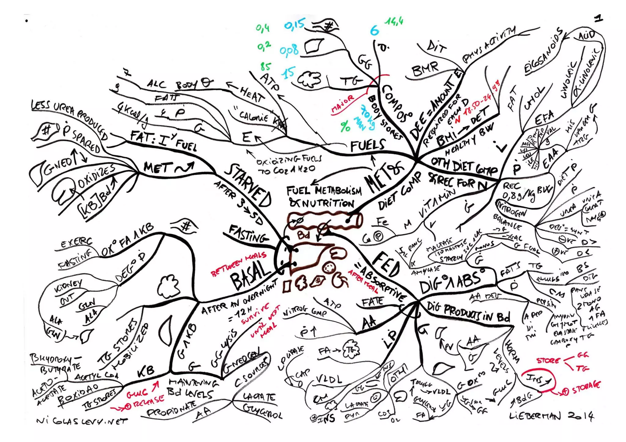Hand Drawn Examples Of My Mind Maps | PDF