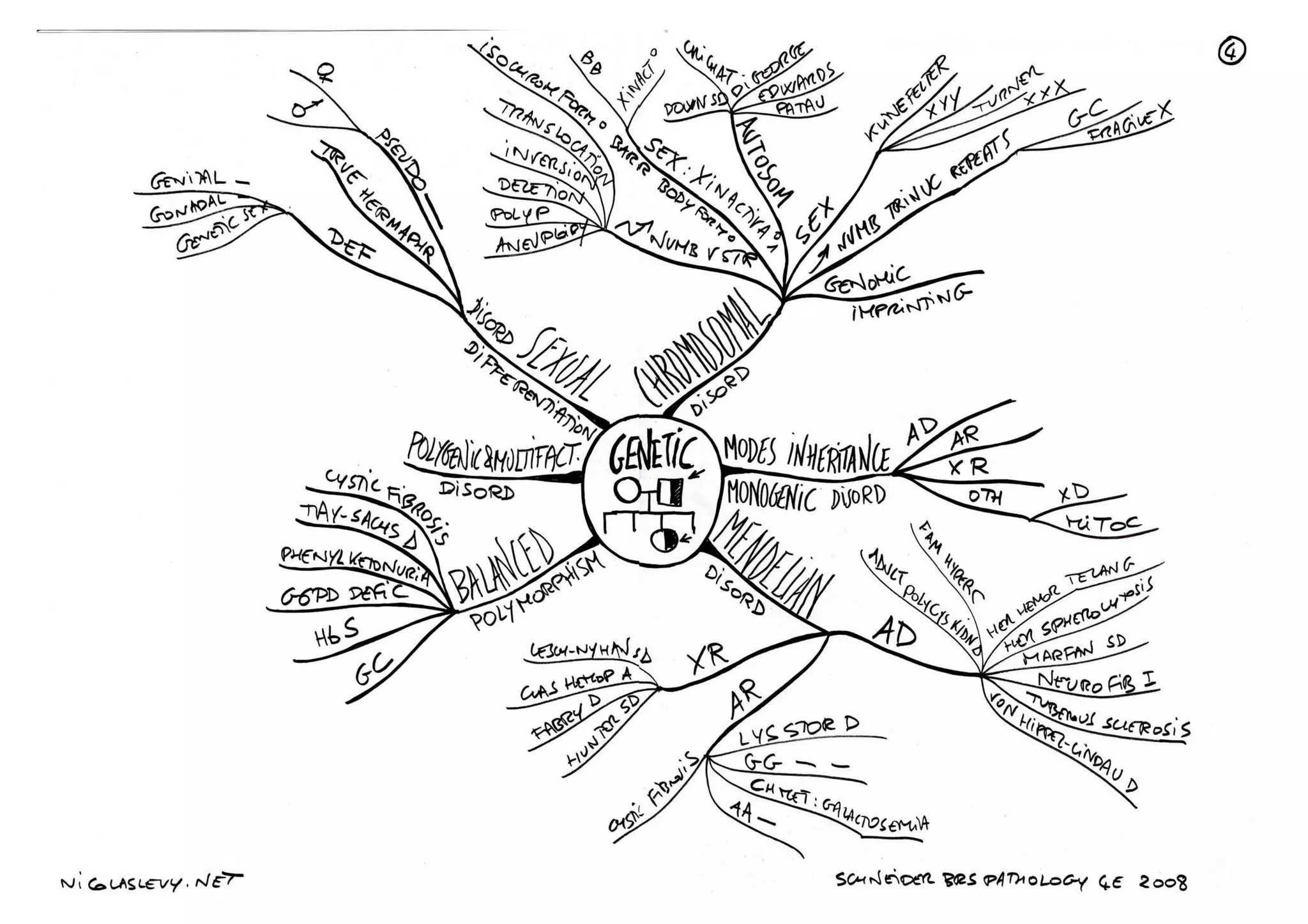Hand Drawn Examples Of My Mind Maps | PDF