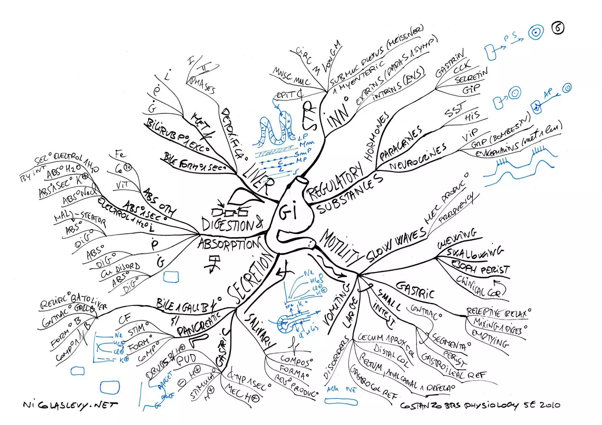 Hand Drawn Examples Of My Mind Maps | PDF