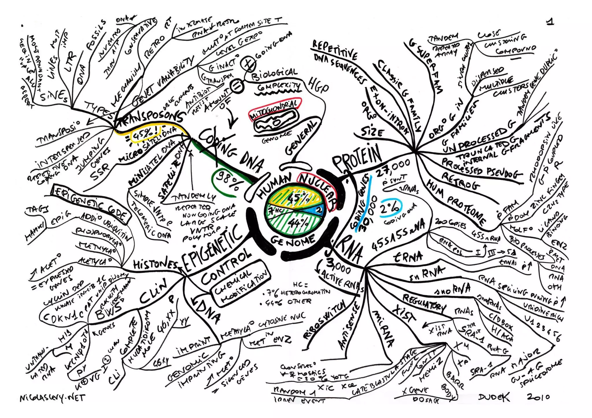 Hand Drawn Examples Of My Mind Maps | PDF